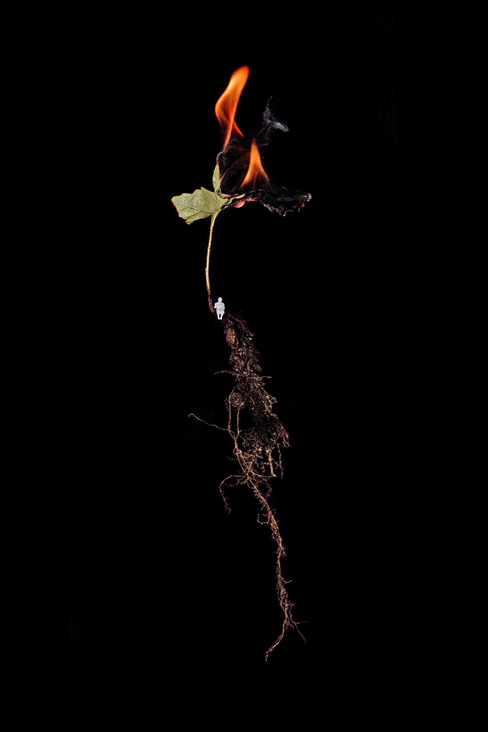 The end of time – LAURA GIANETTI